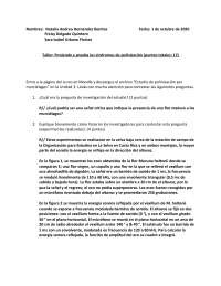 Taller de polinización murciélagos - Docsity