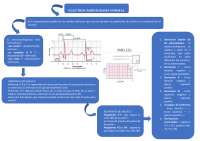 Electrocardiograma normal - Docsity