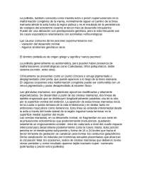 Malformación congénita: politelia - Docsity