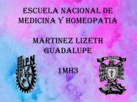 Organelos Celulares MLG | Esquemas y mapas conceptuales de Histología | Docsity