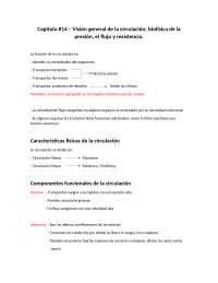 Guyton Capitulo 14 resumen - Docsity