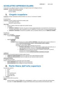 Anatomia scheletro assile e appendicolare - Docsity