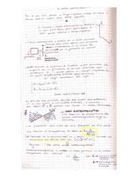 Appunti di fisica di quinto anno liceo scientifico - Docsity