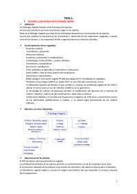 Tema 1. fisiología vegetal - Docsity