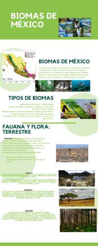 INFROGRAFIA BIOMAS DE MEXICO | Esquemas y mapas conceptuales de ...