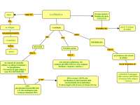 Mappa concettuale la cellula - Docsity