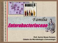 Familia Enterobacteriaceae - Docsity