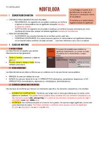CASTELLANO MORFOLOGIA - Docsity