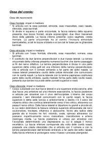 Ossa del cranio (neurocranio e splancnocranio). - Docsity