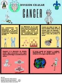 Cartel del cáncer como se origina | Esquemas y mapas conceptuales de ...