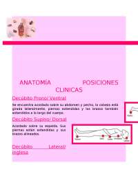 Anatomía posiciones clínicas y sus respectivas finalidades - Docsity