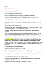 Descrizione dello Scheletro assile - Docsity