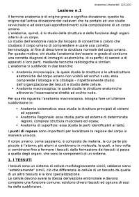 ANATOMIA INTRODUZIONE, POSIZIONE ANATOMICA, PIANI ANATOMICI E ...