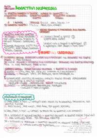 LINGUA RUSSA: AGGETTIVI NUMERALI CARDINALI E ORDINALI (declinazioni ...