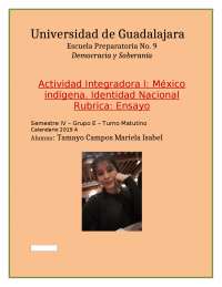 México indígena. Identidad Nacional - Docsity
