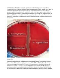 Resumen de la prueba de CAMP | Apuntes de Microbiología Farmacéutica ...