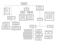 Praxia mapa conceptual - Docsity