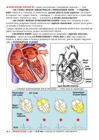 Sprovodni sistem, srčana revolucija, EKG, srčani tonovi | Beleške' predlog Anatomija i ...
