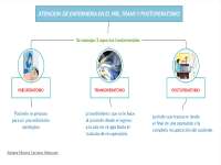 Periodos operatorios - Docsity