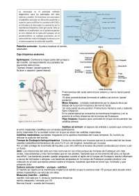 Resumen otorrinolaringo - Docsity