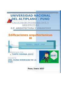 QUE ES SNIP Y CARACTERISTICAS - Docsity