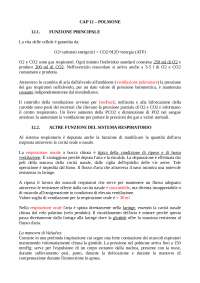 Polmone - Riassunto capitolo 12 del libro Fisiologia dell'uomo (Edi ...