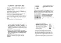 Equilibrio elettrostatico condensatore - Docsity