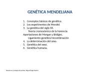 Biología explicación básica de la génetica mendeliana - Docsity