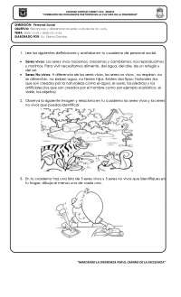 SERES VIVOS Y NO VIVOS - Docsity