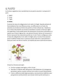 IL FUSTO DESCRIZIONE GENERALE - Docsity