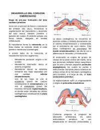 DESARROLLO DEL CORAZON EMBRIONARIO - Docsity