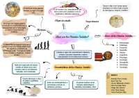 Organizador gráfico Ciencias Sociales | Esquemas y mapas conceptuales de Humanidades y Ciencias ...