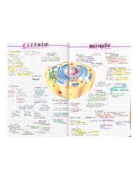 LA CELLULA ANIMALE MAPPA DETTAGLIATA - Docsity
