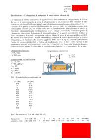 Elaborato compressione | Appunti di Ingegneria Civile - Docsity