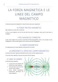 Fenomeni magnetici fondamentali | Appunti di Fisica | Docsity