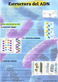 Estructura del ADN. - Docsity