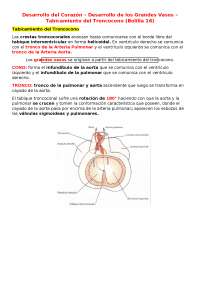 Desarrollo del Corazón (3° parte) - Docsity