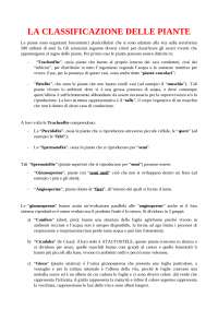 La classificazione delle piante - Docsity
