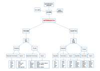 Pronomi, aggettivi e avverbi interrogativi latini - Docsity