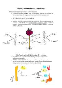 Fármacos sistema nervioso - Docsity