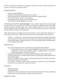 DANTE, PURGATORIO SCHEMI - Docsity