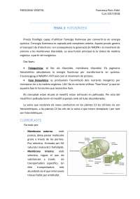 FISIOLOGÍA VEGETAL DE LAS PLANTAS - Docsity