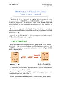 FISIOLOGÍA VEGETAL DE LAS PLANTAS BIOQUÍMICA UB - Docsity