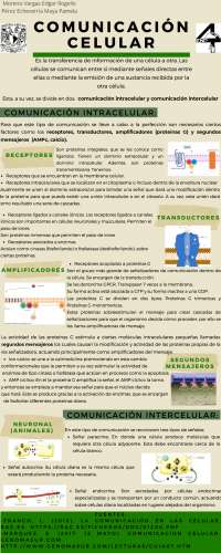 Comunicación Celular Infografía Docsity