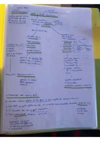 DNA E RNA STRUTTURA, DIFFERENZE - Docsity