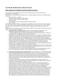 Tecniche di biologia molecolare - Docsity