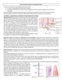 Capítulo 50-Guyton-Hall - Docsity