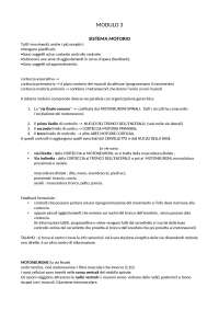 3° modulo FONDAMENTI ANATOMO-FISIOLOGICI - Docsity
