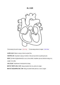 El cor resumen partes - Docsity