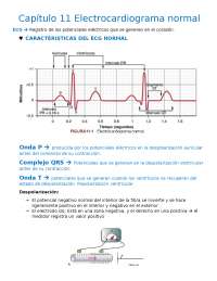 Electrocardiograma normal - Docsity